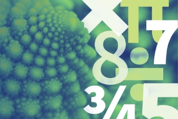 Knowledge Base | STEMscopes