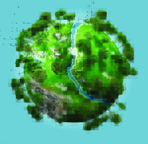 STEMScopes California Science | STEM Curriculum From CA NGSSS Standards ...