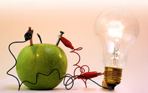 Math Common Core Curriculum | Accelerate Learning